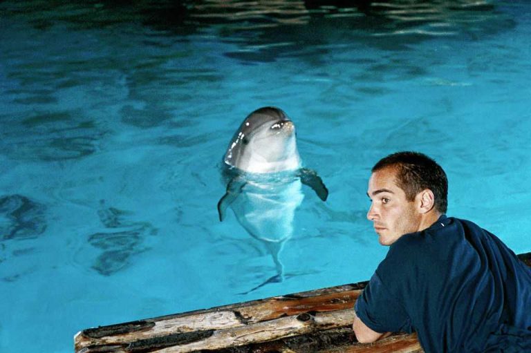 10 Best Ocean Movies - Sofy.tv - Blog