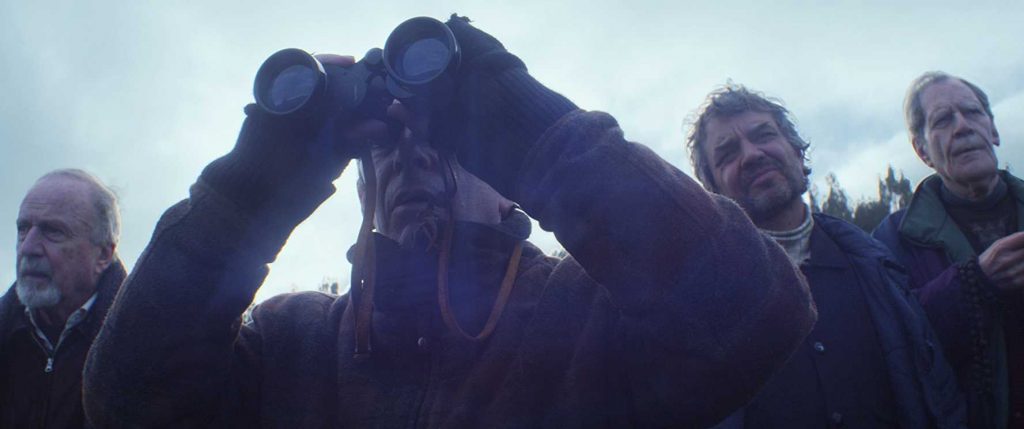 The Best 10 Chilean Movies - Sofy.tv - Blog